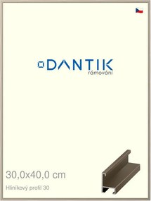 DANTIK rámeček 30x40 | ALU profil 6030 champagne (Plexi Čiré)