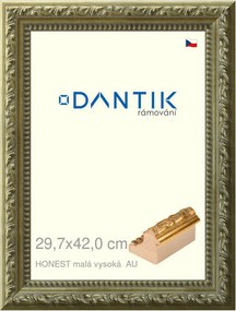 DANTIK rámeček 29,7x42 | HONEST malá vysoká AU (Plexi Čiré)