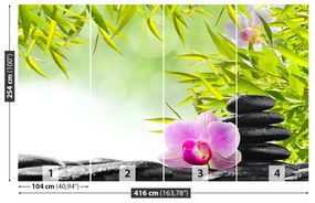 Fototapeta Bambus a orchidej 104x70