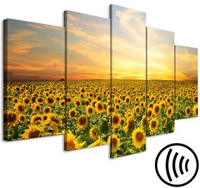 Obraz Slunečnice po ránu (5 kusů) na šířku