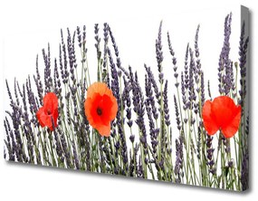 Obraz na plátně Květiny Máky Pole Trávy 140x70 cm