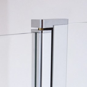 Sprchové dveře jednokřídlé LZDO1 v kombinaci s pevnou stěnou LZB Viz technická specifikace Transparent Brillant LYE4/1200_LYSW1S/1000 1200 1000 LYE4/1200_LYSW1S/1000
