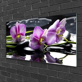 Obraz na skle Květ Kameny Rostlina 120x60 cm