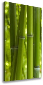 Wallmuralia Vertikální Foto obraz na plátně Bambusový les 50x100