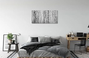 akrylový obraz Černá a bílá bříza 100x50 cm