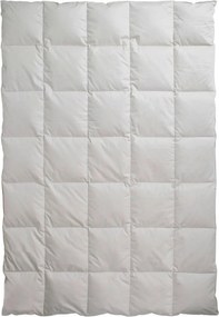 XXXLutz CELOROČNÍ PŘIKRÝVKA, 135/200 cm, kachní prachové peří Centa-Star - Přikrývky - 003503030401