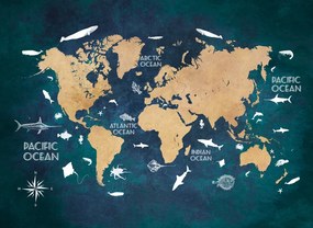 Ilustrace World map 3, Justyna Jaszke