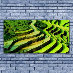 akrylový obraz Pole Rýže Les Umění 120x60 cm