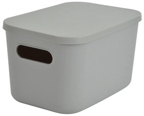 Šedý plastový úložný box s víkem 24,5x18x15 cm – Homéa