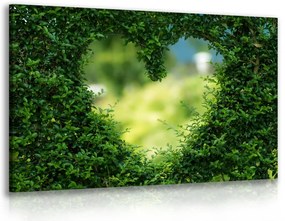 Malvis ® Obraz živý plot - srdce Velikost (šířka x výška): 75x50 cm