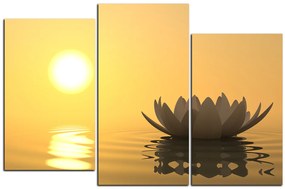 Obraz na plátně - Zen lotus 1167C (135x90 cm)