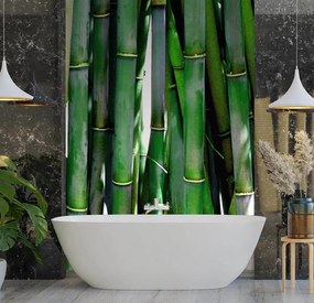 Gario Fototapeta Zelené bambusy Materiál: Vliesová, Rozměry: 100 x 140 cm