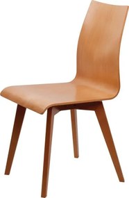 Bradop Dřevěná jídelní židle SASKIE I Z153, buková | Provedení: B - Bílá
