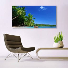 akrylový obraz Palma Stromy Pláž Krajina 120x60 cm