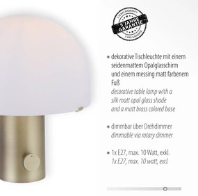 Stolní lampa Dipper se skleněným stínidlem, matná mosaz