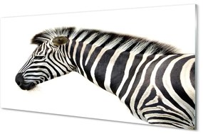 Obraz na skle zebra 120x60 cm