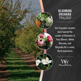 WoodWick Trilogy Blooming Orchard Svíčka váza velká, 609,5 g