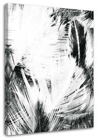 Obraz na plátně Listí Listy Abstrakce ČB - 60x90 cm