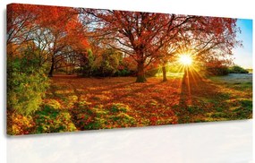 Malvis ® Obraz - Podzimní slunce Velikost: 140x70 cm