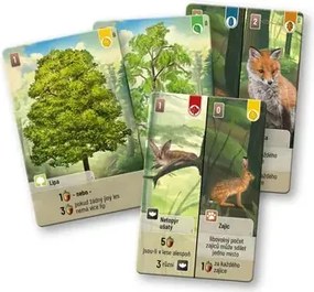 Asmodee Smíšený les / Počet hráčů: 2-5 / od 10 let