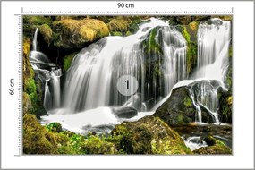 Fototapeta Vodopád V Lese Samolepící tapety 416x254