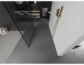 Mexen Kioto, sprchová zástěna Walk-In 120 x 200 cm, 8mm sklo černý vzor, ​​zlatý matný profil, 800-120-002-55-70
