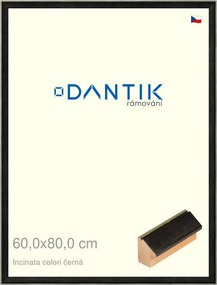 DANTIK rámeček 60x80 | INCLINATA colori černá (Plexi Čiré)