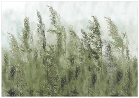 Fototapeta - Vysoké trávy - zelené 200x140 + zdarma lepidlo