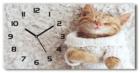 Wallmuralia Skleněné hodiny na stěnu Kočka svetr 60x30 cm