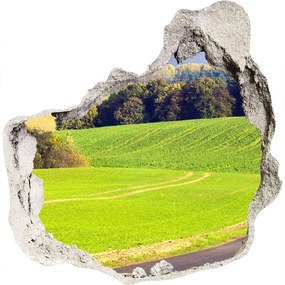 Wallmuralia Nálepka fototapeta 3D výhled Polní cesta 75x75 cm