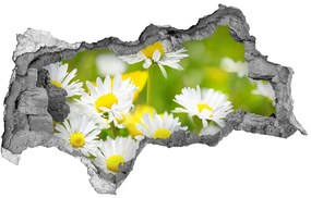Wallmuralia Samolepící díra nálepka Sedmikrásky 95x73 cm