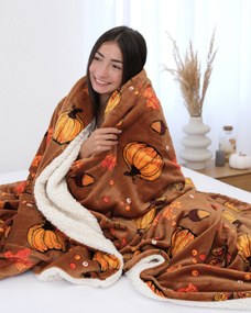 MK Lůžkoviny Beránková deka mikroplyš Exclusive 150 × 200 cm – Dýňové kouzlo