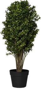 Umělý buxus BUXA, plast, výška 70 cm, zelený