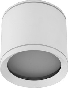 TK Lighting Bílé stropní svítidlo Vivo 84mm pro žárovku GX53 TK10595