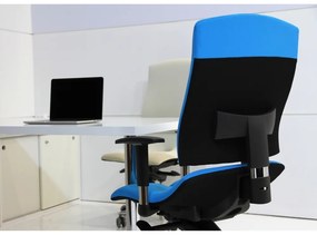 Zdravotní židle Steel Standard+, černá