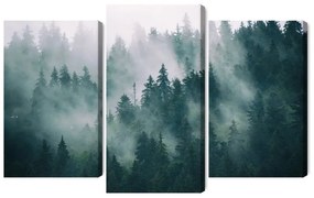 Vícedílný obraz Mlha V Zeleném Lese Nedostatek Nedostatek Přírodní plátno 60x40