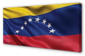 Obrazy na plátně vlajka Venezuely 120x60 cm