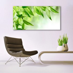 Plexisklo-obraz Zelené Listy Příroda 120x60 cm