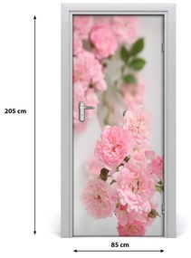 Fototapeta na dveře Divoká růže 85x205 cm