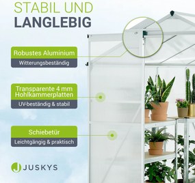 Juskys Hliníkový skleník se základovým rámem Velikost: 4,75 m²