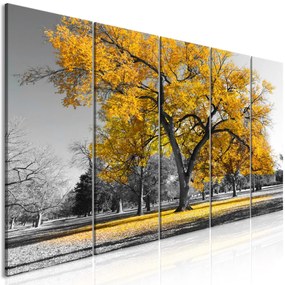 Pětidílný obraz podzim v parku žlutý II
