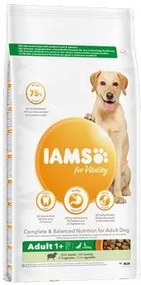 Eukanuba komerční, Iams Iams Dog Adult Large Lamb 12kg
