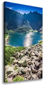 Wallmuralia Vertikální Foto obraz na plátně Černé jezero Tatry 50x100