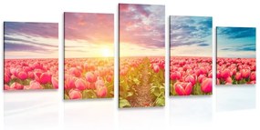 5-dílný obraz východ slunce nad loukou s tulipány - 200x100 cm