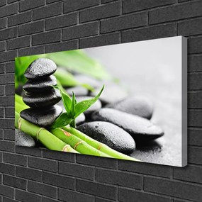 Obraz na plátně Bambus Kameny Rostlina 140x70 cm