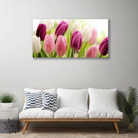 Obraz na plátně Tulipány Květiny Příroda Louka 100x50 cm