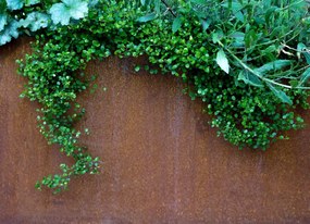 Truhlík MAXI, corten, šířka 100 cm, hnědý