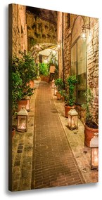 Wallmuralia Vertikální Foto obraz na plátně Umbrie Itálie 50x100