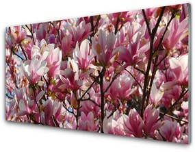 Plexisklo-obraz Větve Květiny Rostlina 120x60 cm