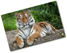 Wallmuralia Kuchyňská deska skleněná Sibiřský tygr 80x52 cm